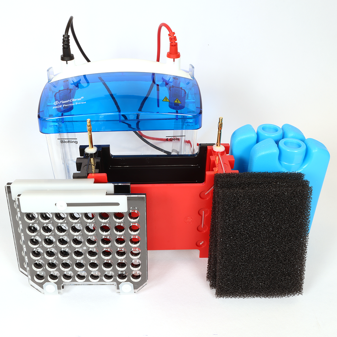 FastGene Western ECL Kit - PT Kohen Medika Laboratories